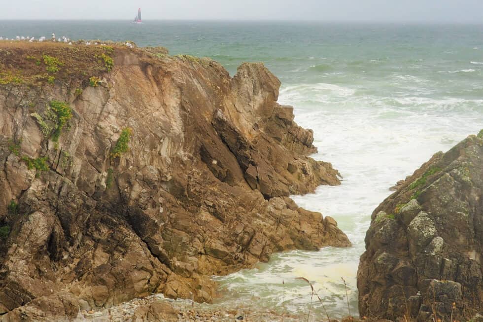BALADE NATURE - LA GRANDE CÔTE UN PAYSAGE SOUS INFLUENCE - Le Pouliguen